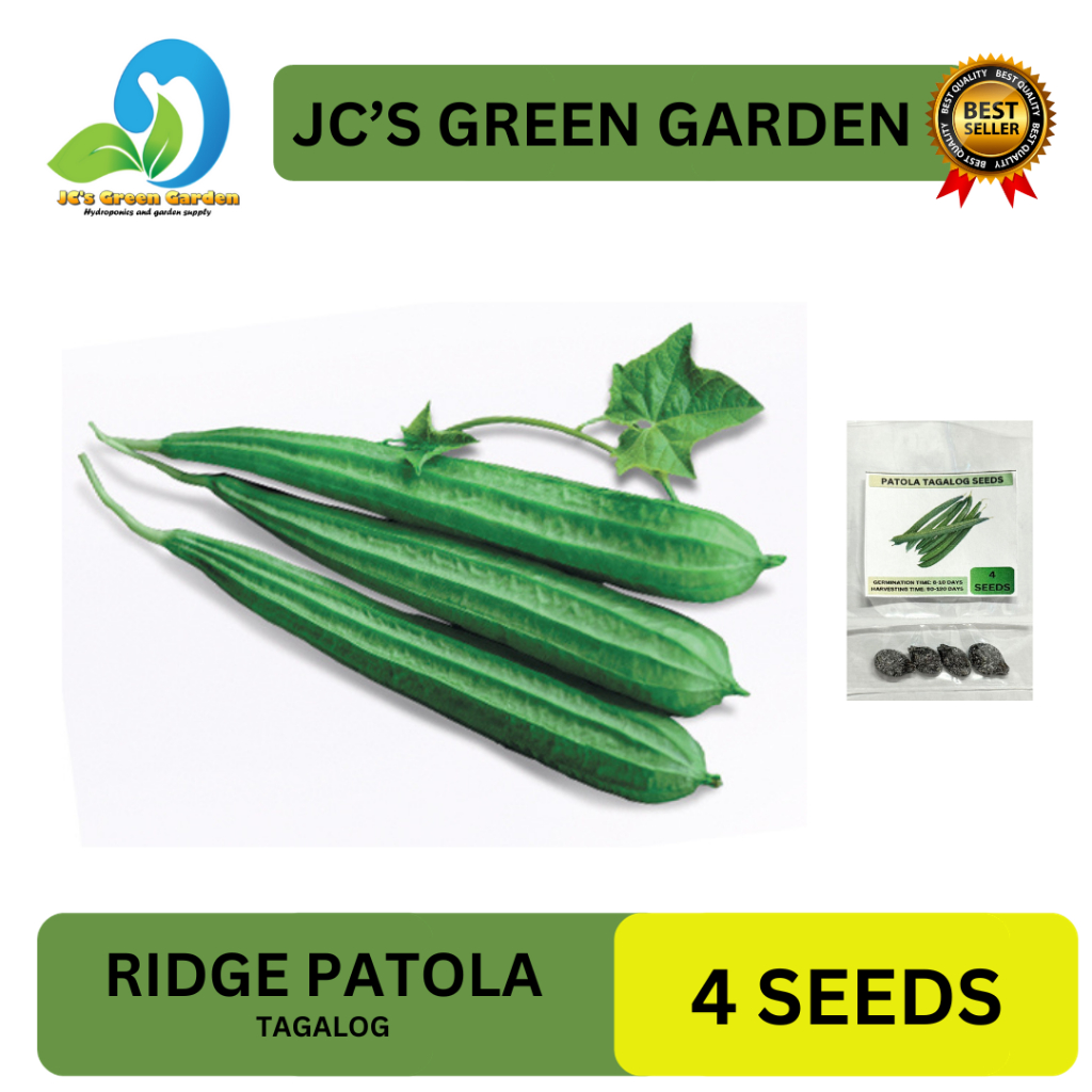 VALUE PACK (4 SEEDS) RIDGE PATOLA/TAGALOG VARIETY/FOR PLANTING/HIGH ...
