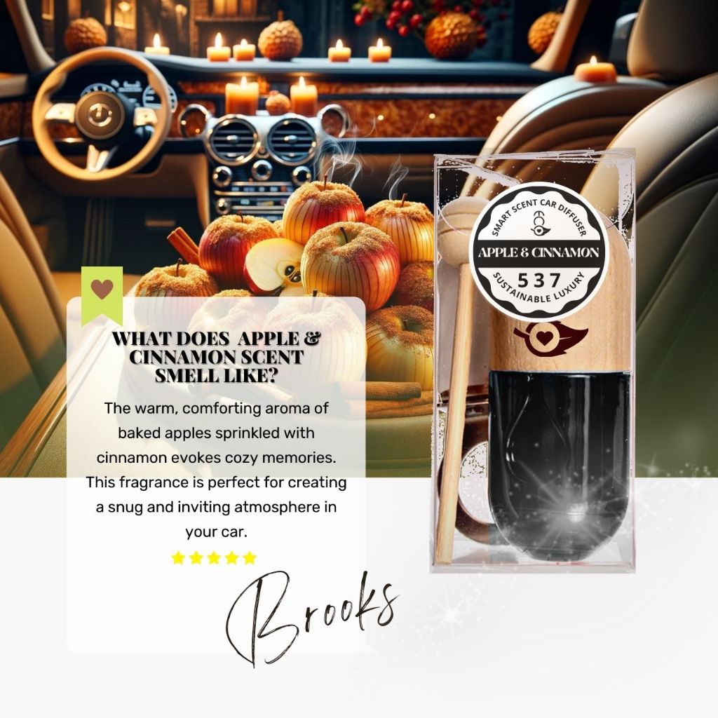APPLE & CINNAMON Car Hanging Diffuser Vent Clip Smart Scent Provides ...
