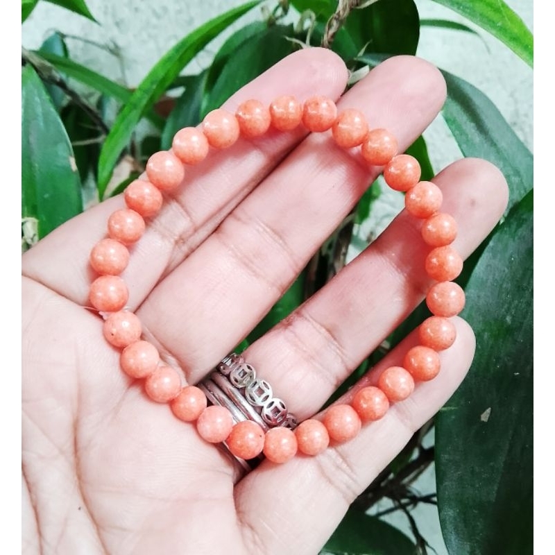 2024 Wealth Dragon Apricot Crush Color of the Year Charm Bracelet ...