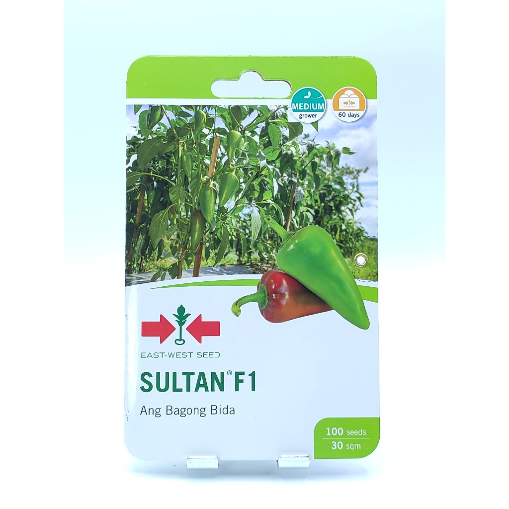 EAST-WEST SEED SULTAN F1 HYBRID SWEET PEPPER / BELL PEPPER / ATSAL ...