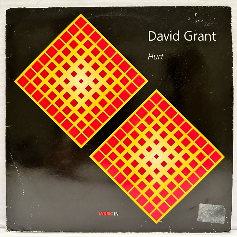David Grant – Hurt (Vinyl Record/Electro) | Shopee Philippines