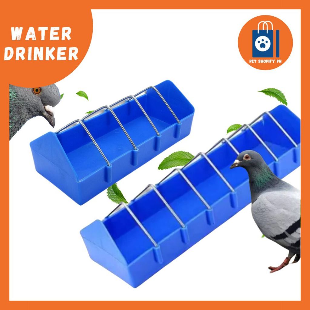 PIGEON WATER DRINKER - TRAY / BIRD WATER DRINKER | Shopee Philippines