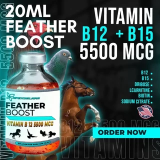 b15 - Best Prices and Online Promos - Jun 2024 | Shopee Philippines