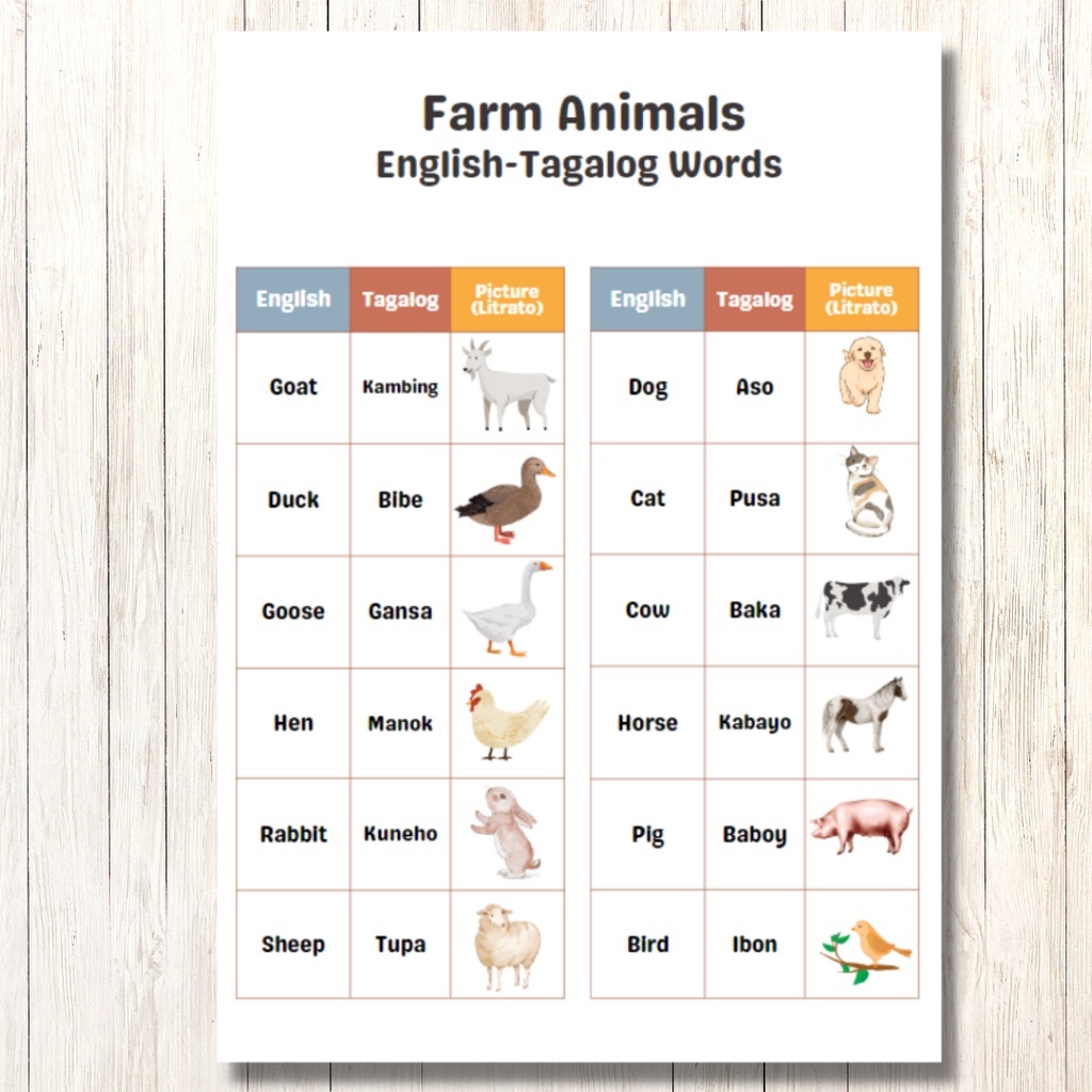 A4 Laminated Educational Posters, Learning Charts For Kids and Toddlers ...
