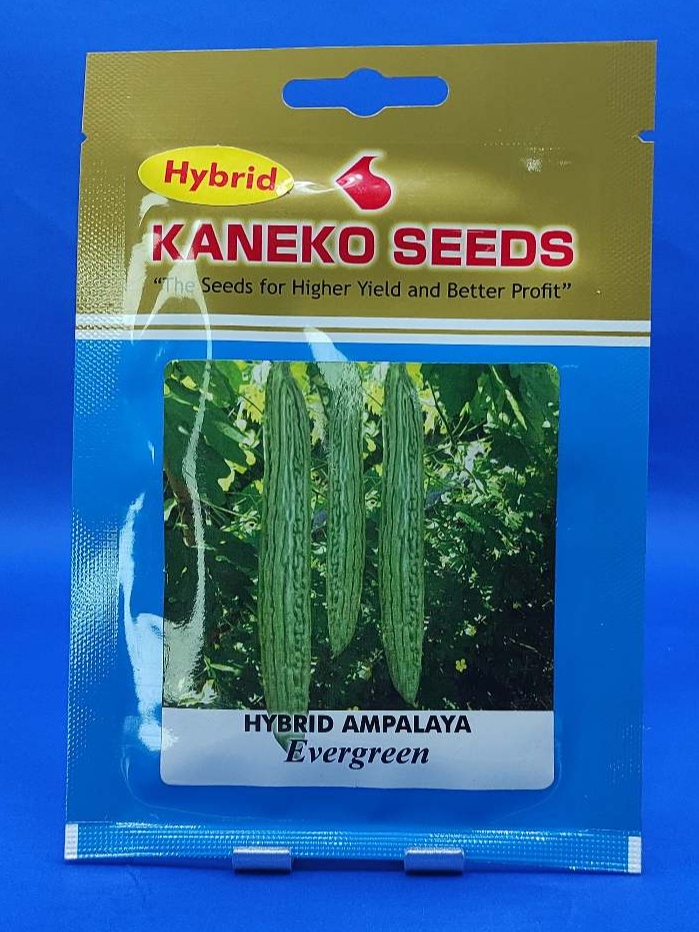 KANEKO SEEDS EVERGREEN HYBRID AMPALAYA/ AMPALAYA SEEDS (2 GRAMS ...