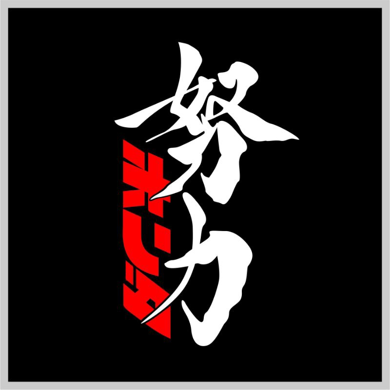 ND1 Japanese JDM Racing Graphic Cutout Kanji Text Vinyl Sticker Decal ...