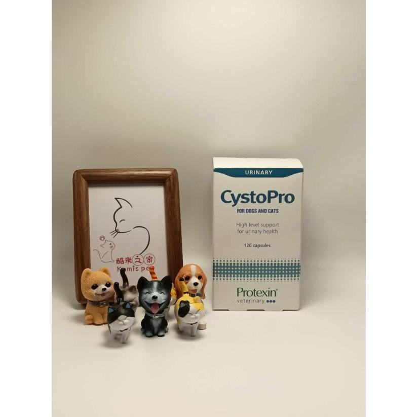 cystopro salsa dobol canine cat dog urinary pain diuretic pass ...