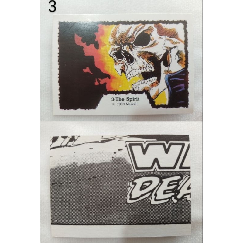 1990 Comic Images Ghost Rider Trading Cards | Shopee Philippines