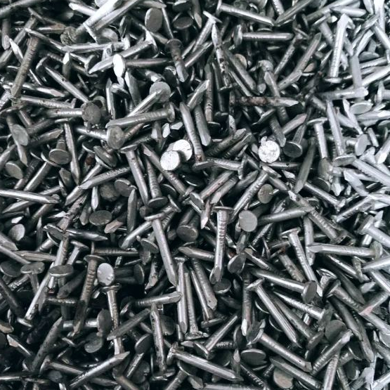 Galvanized Flat Head Nail Pako l Soft Board Nail 1" (SOLD PER 100 GRAMS ...