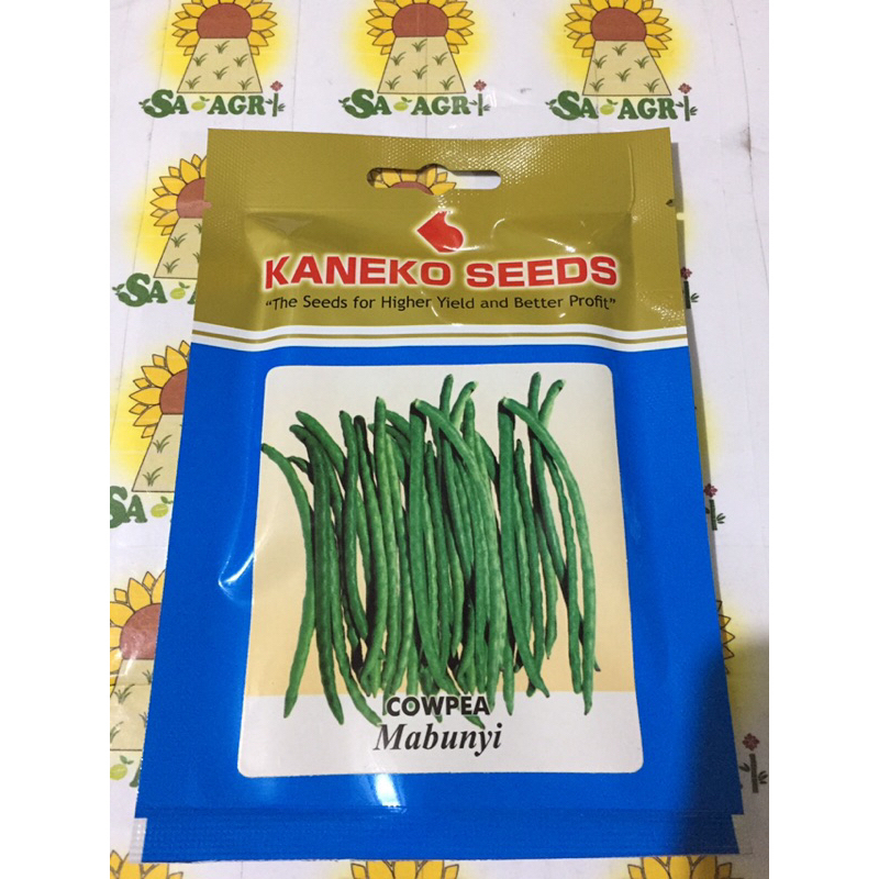 Mabunyi Cowpea Paayap Seeds (20g) | Shopee Philippines