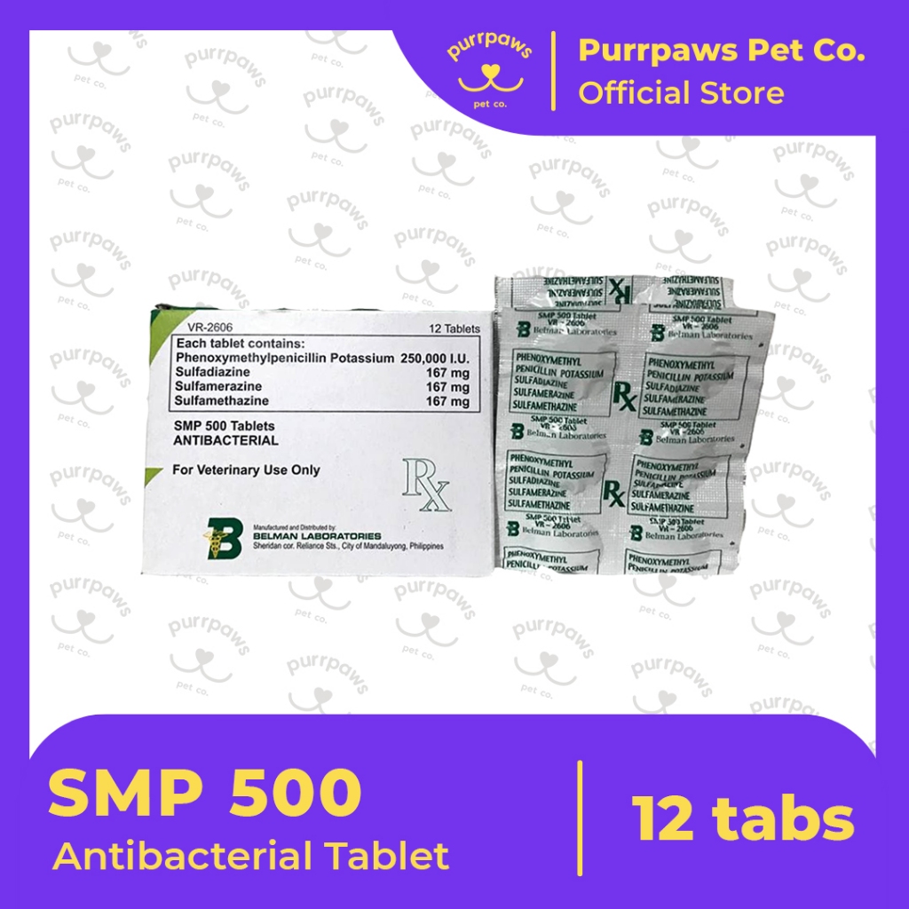 SMP 500 Tablets Antibacterial (1 box 12 tablets) | Shopee Philippines