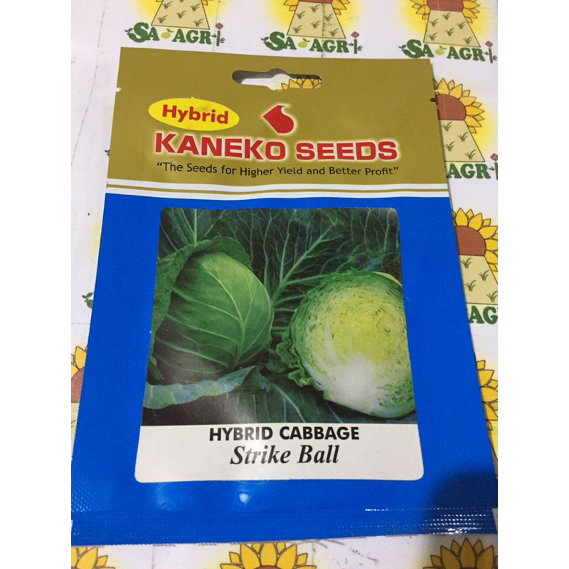 Srike Ball Hybrid Cabbage (1g) | Shopee Philippines