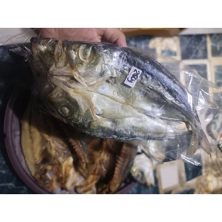 Shop dried tuyo fish for Sale on Shopee Philippines