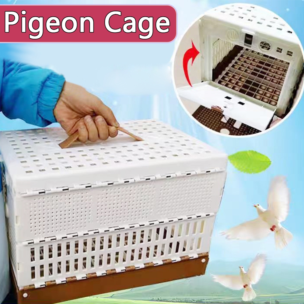 Foldable Pigeon Bird Cage ABS Plastic Folding Training Cage Collection ...