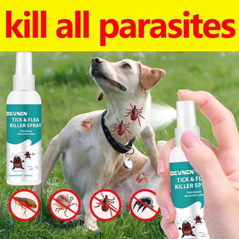 Anti Garapata For dog Spray For Tick And Flea Dogs & Cats Anti-Tick ...