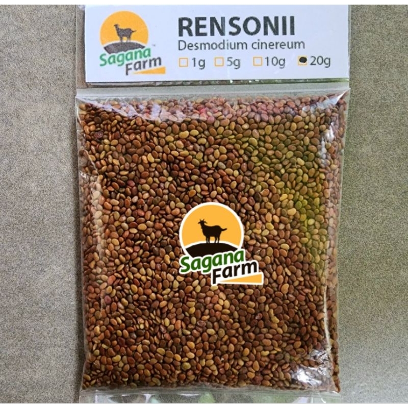 Rensonii Seeds 5g to 20g (Desmodium cinereum) Forage for Livestock and ...