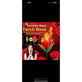 Torch To Rose Mystical Fire Magic Trick Flame Appearing Flower Magician ...