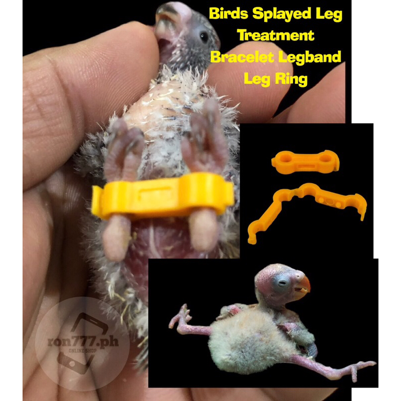 Birds Splayed Leg Treatment Bracelet Legband Ring bracket 4mm, 5mm ...