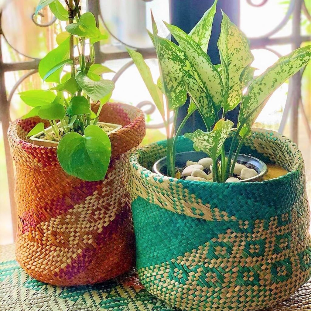 TWWA Tagolwanen Handwoven Sodsod Grass Putal Planter | Shopee Philippines