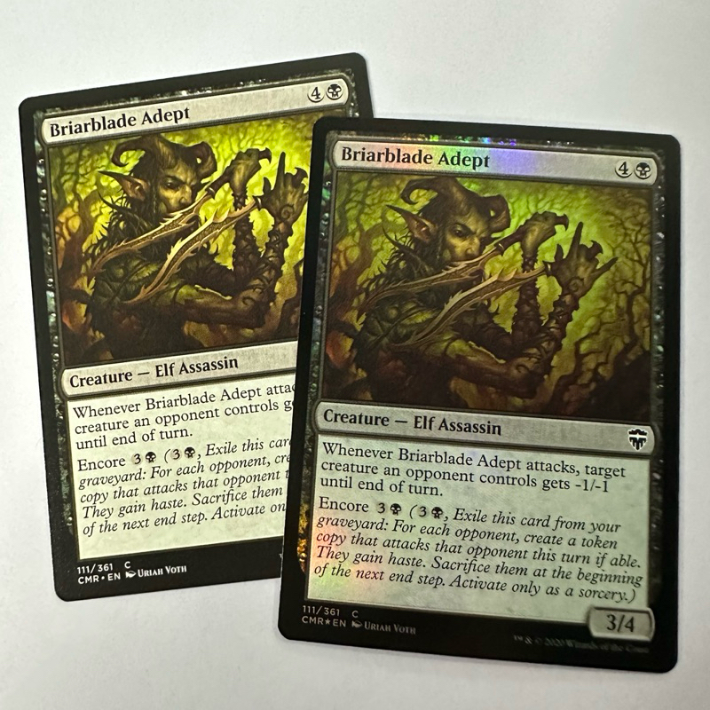 BRIARBLADE ADEPT | ELF ASSASSIN | CMR COMMANDER LEGENDS | BLACK | MTG ...