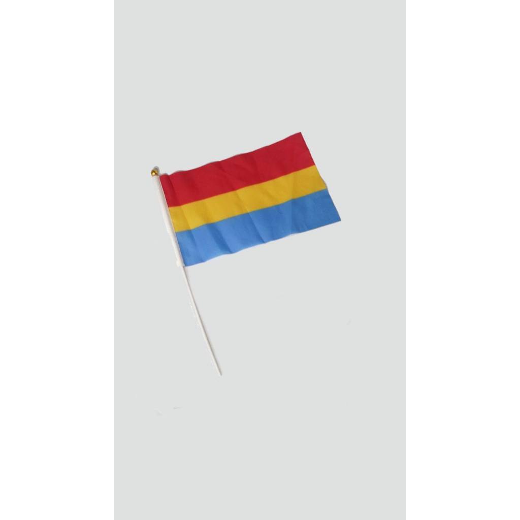 Small Pansexual Flag | Pan Pride Flag LGBT Handheld Waving | LOCAL ...