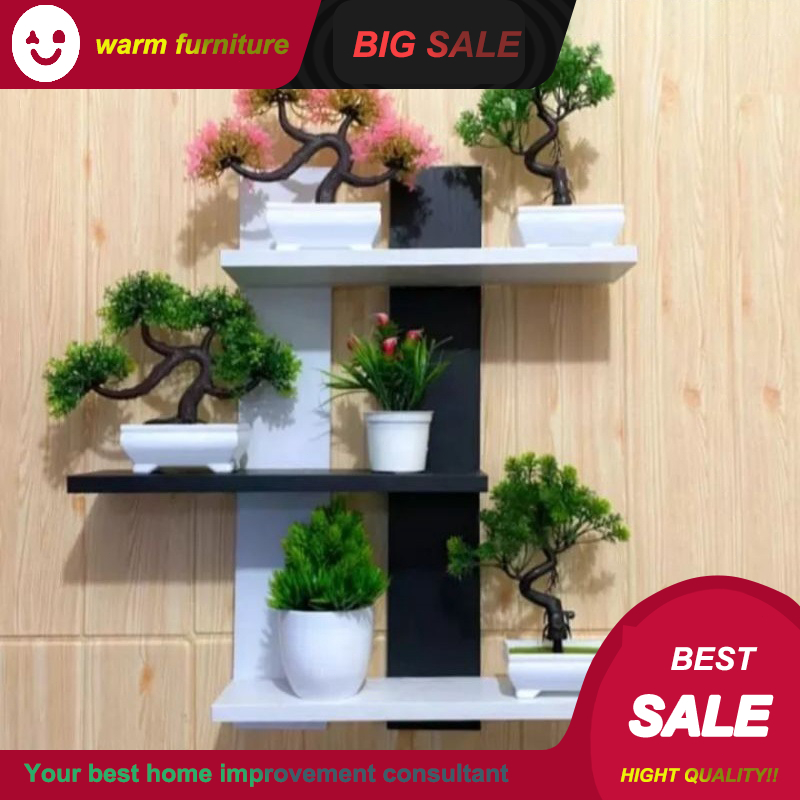 Wall mounted flower racks, wall mounted shelves, wall mounted display ...
