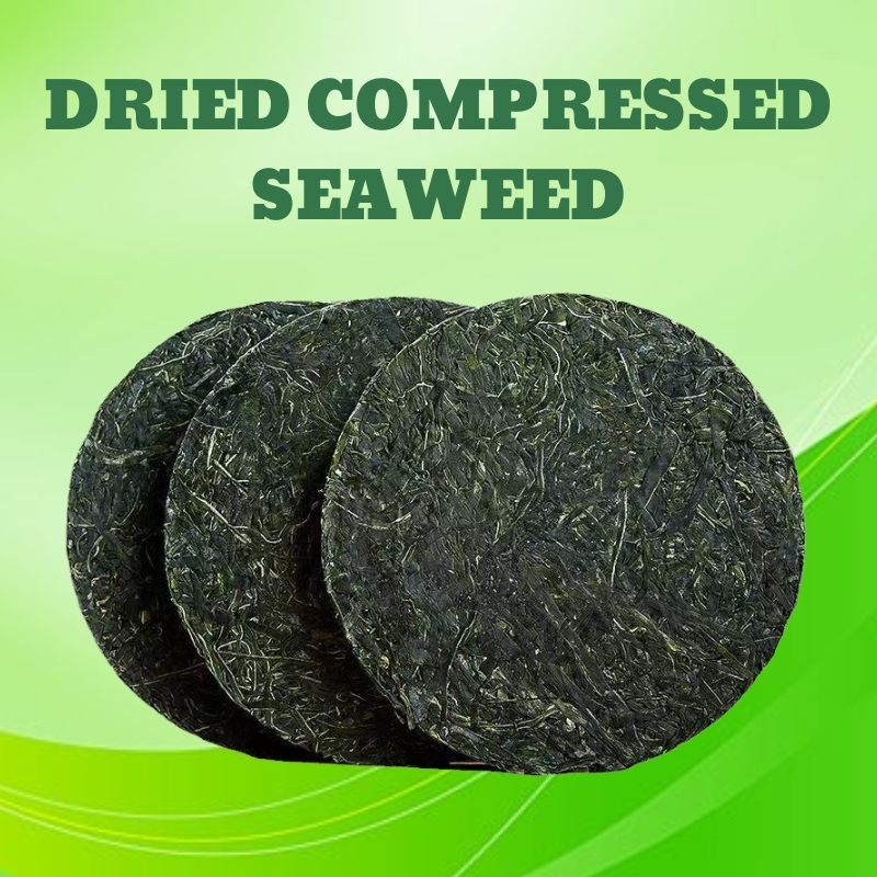 Dried Compressed Seaweed Instant Vegetables High Foam Hair Sea ...