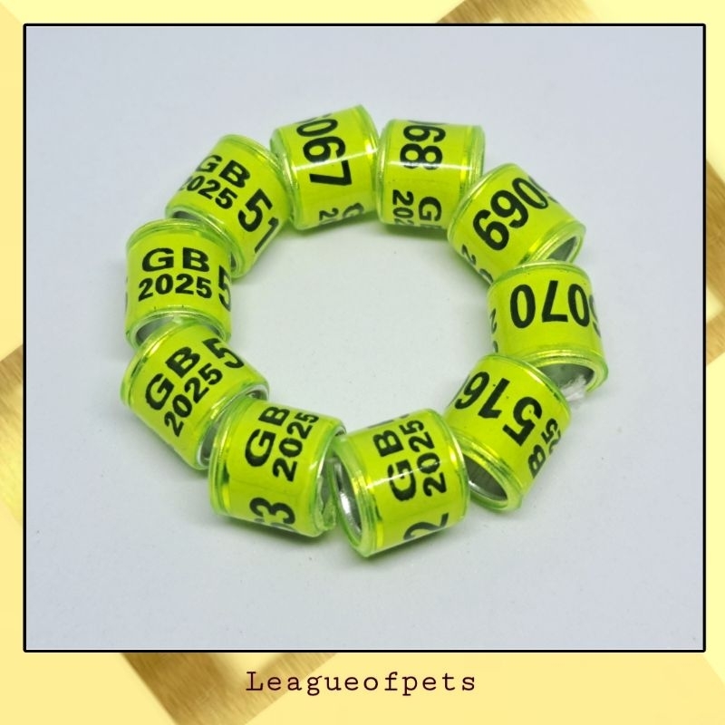 10 pcs 2025 Taiwan Pigeon Ring Singsing ng Kalapati ROUND | Shopee ...