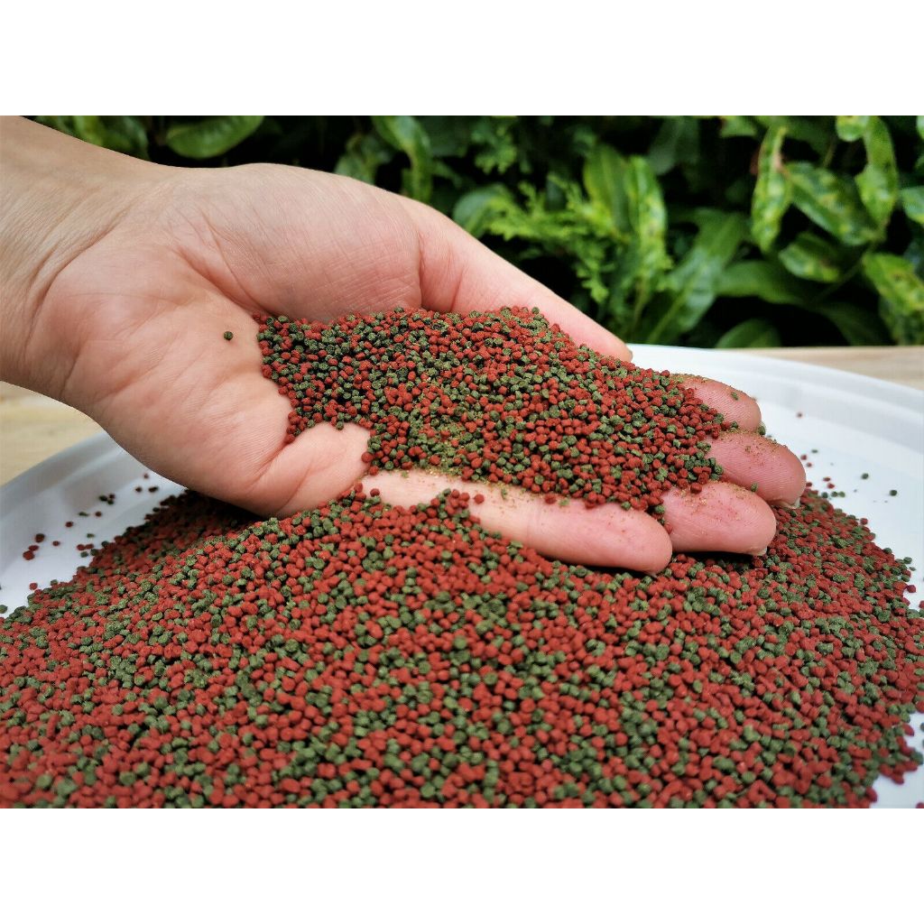 Nutritious Floating fish pellets 50g, 100g, 250g | Shopee Philippines