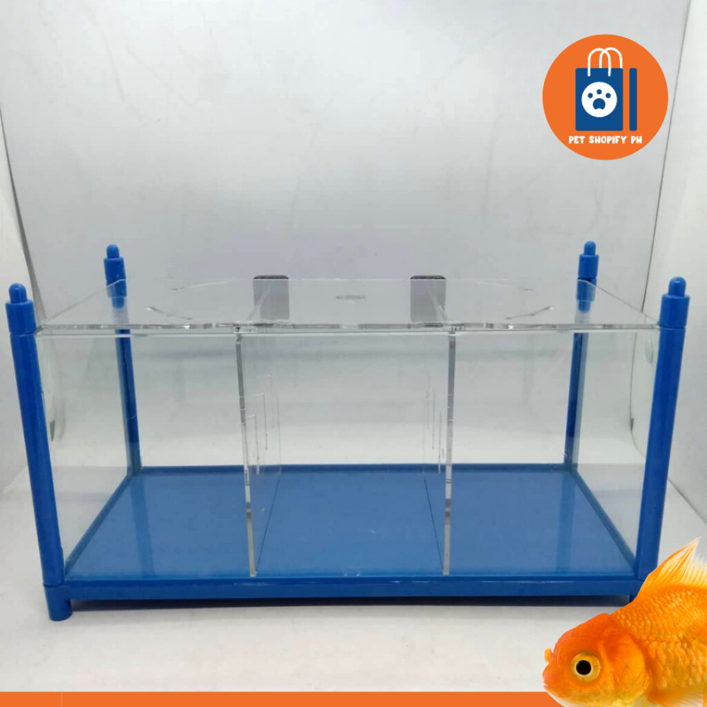Fish Betta Triple Clear Tank Aquarium Colorful Transparent 26cm ...