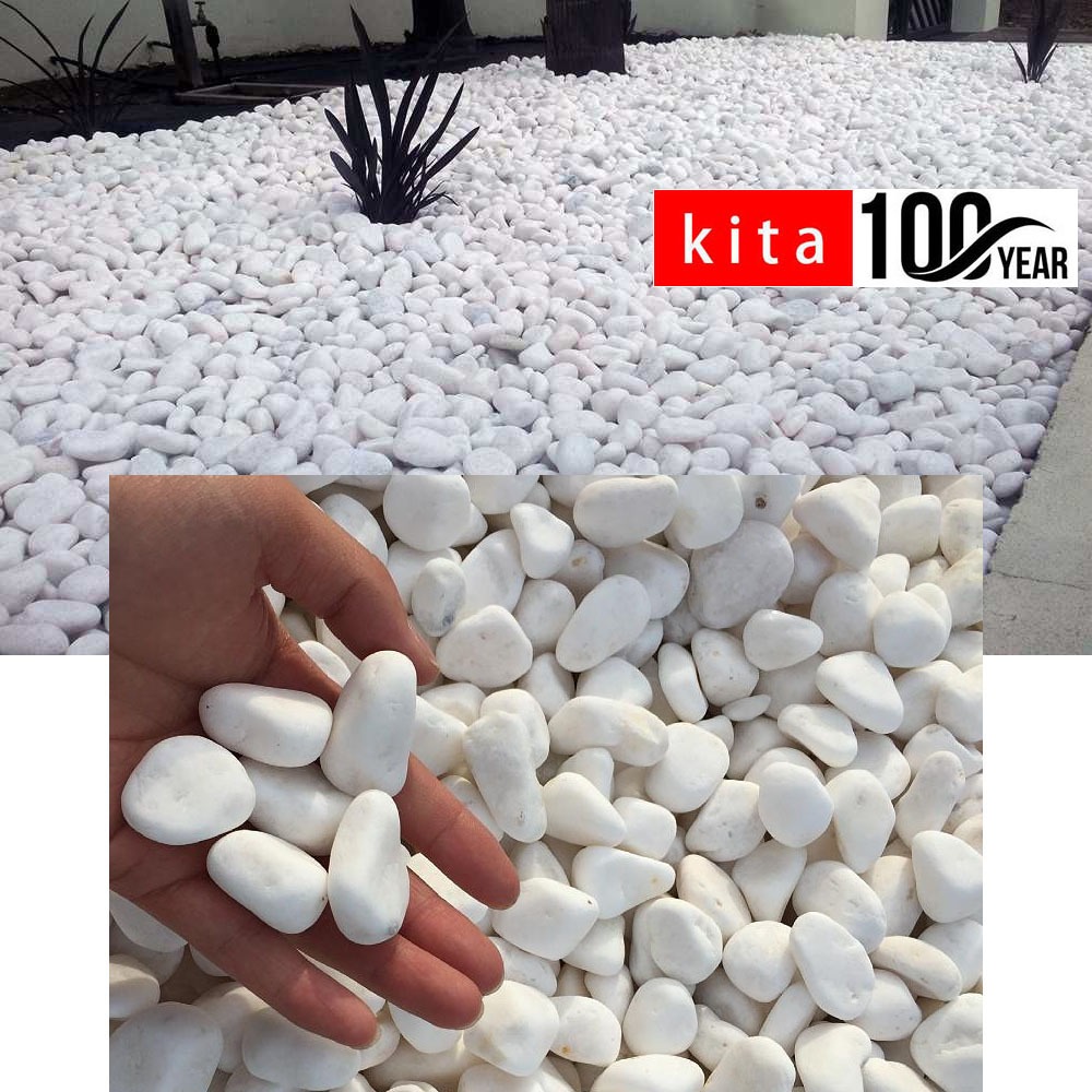 ~~ 100pcs Natural White Rocks ~~ Polished Pebbles Plants Garden ...