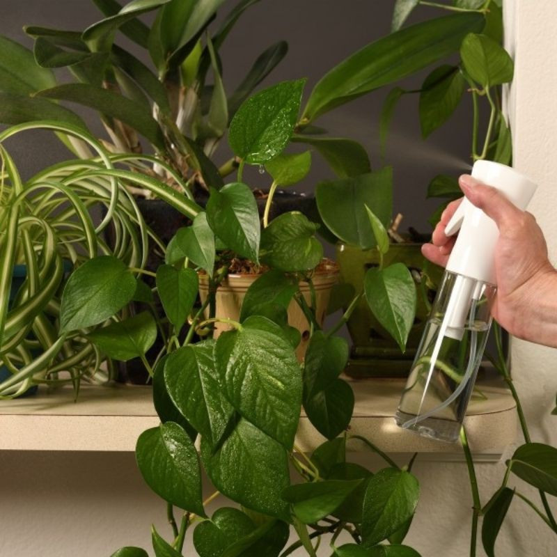 Spray Bottle 200ml 300ml 500ml Continuous Spray Nano Fine Mist Sprayer ...