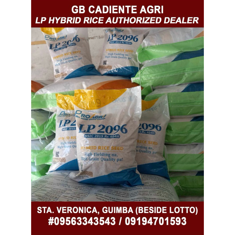 3kg LongPing 2096 | 937 | 534 | 908 Hybrid Rice Seed | Guaranteed ...