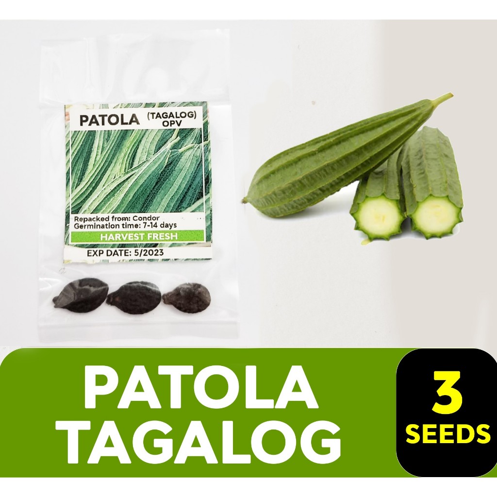 Vegetable Seeds - Kalabasa Okra Ampalaya Sitao Bell Pepper Carrots ...