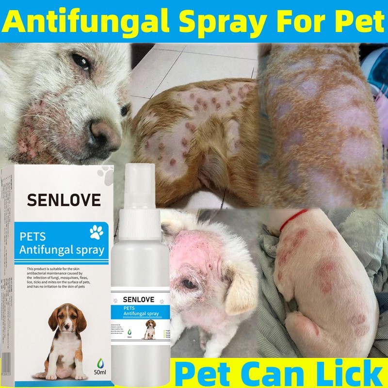 SENLOVE Dog Medicine For Skin Disease Antifungal Wound Spray For ...