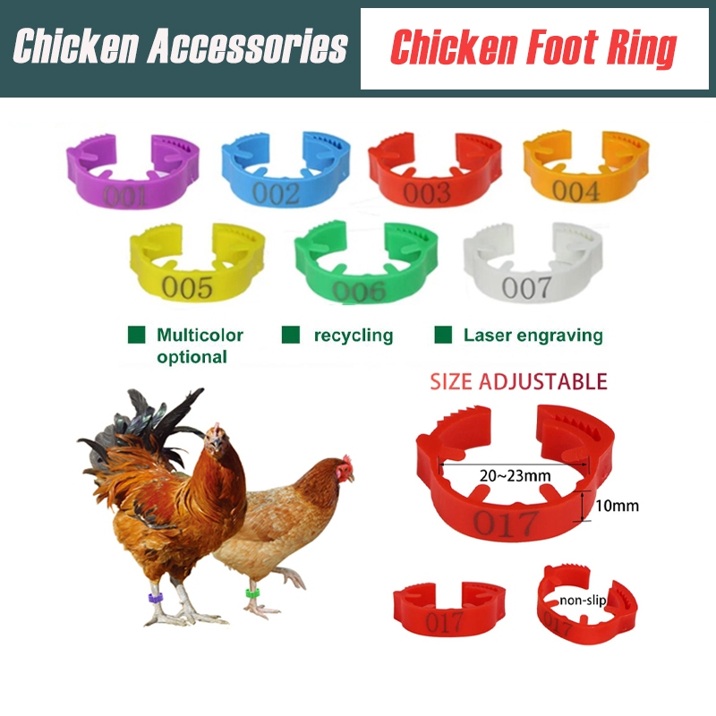 100Pcs Poultry Clip Ring Adjustable Chicken Leg Ring Identify Ring Band ...