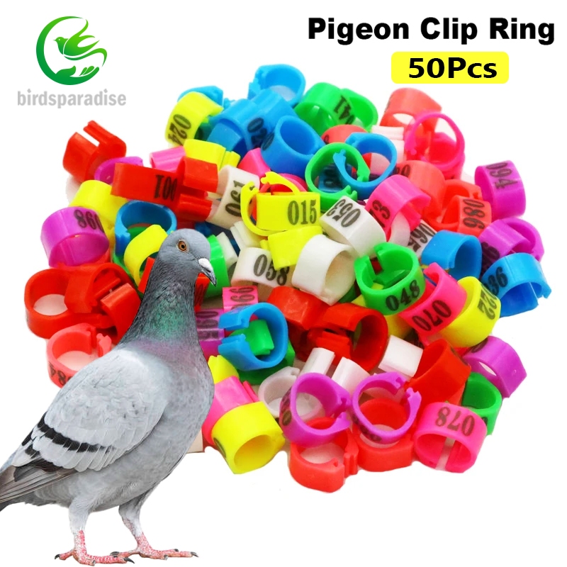 50Pcs Plastic Pigeon Ring 9mm Dove Digital Identify Bands for Pigeon ...