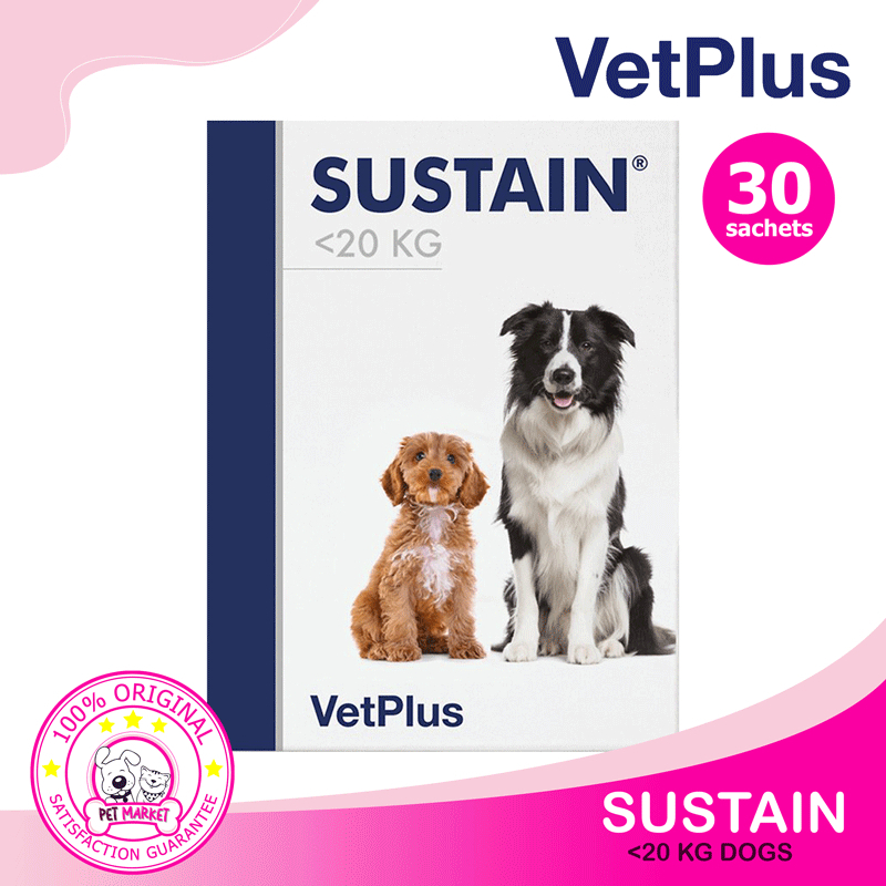VetPlus Sustain for Intestinal Problems in Small and Medium Dogs 1 BOX ...