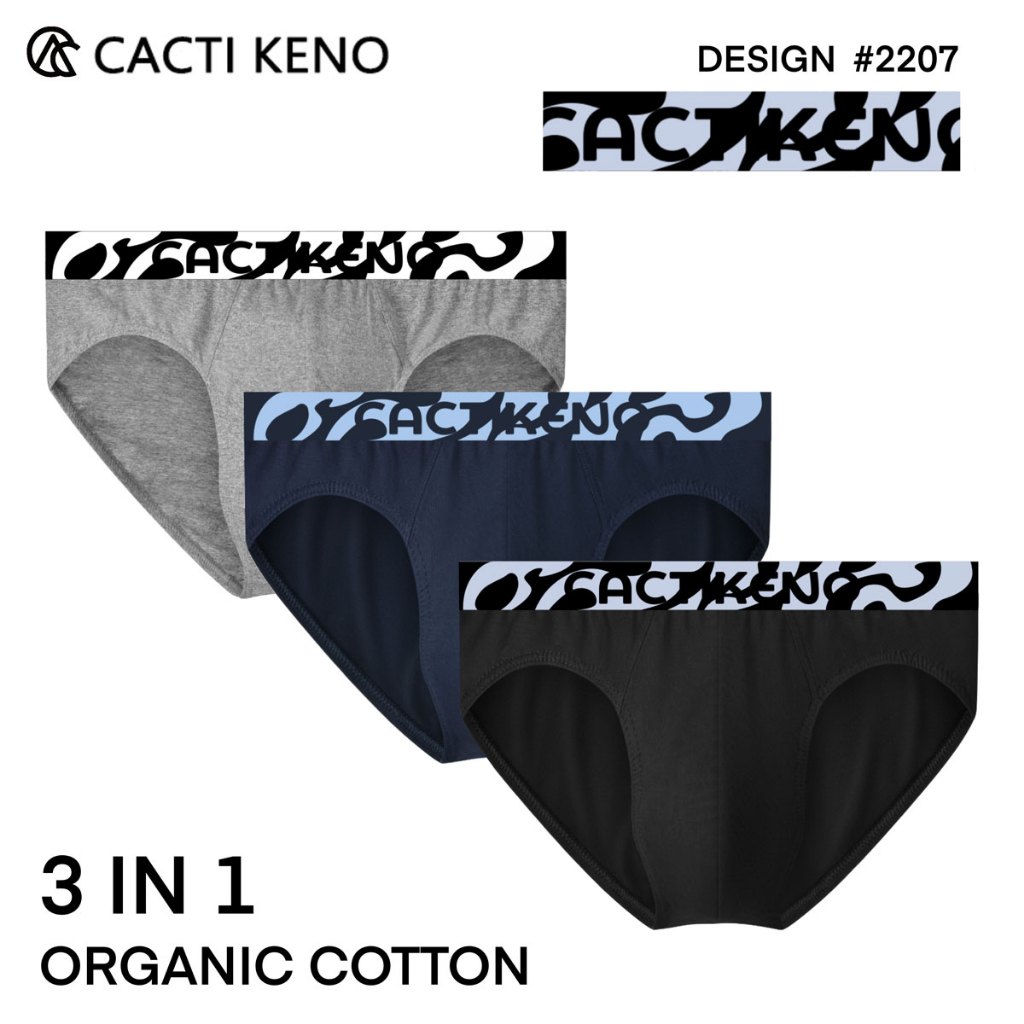 Cacti Keno 3 Pcs Boxer Briefs For Men Underwear Men's Brief Original ...