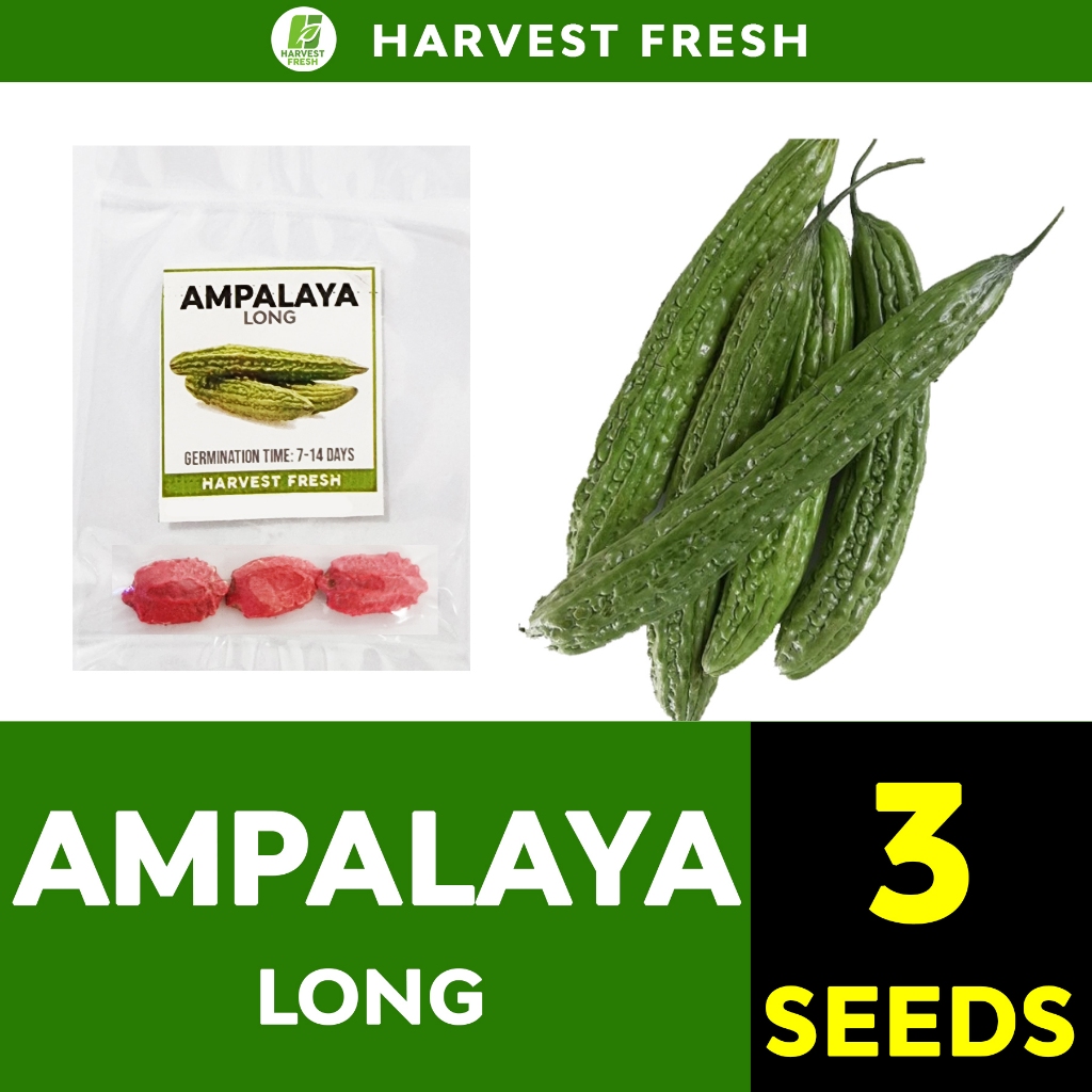 Vegetable Seeds - Ampalaya Upo Okra Sitao Bataw Kalabasa Patola Sitsaro ...