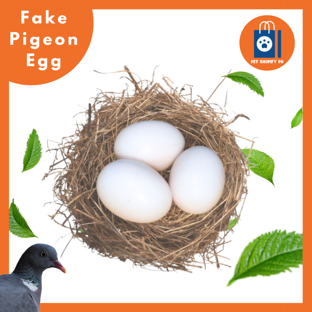 Fake Pigeon Egg False Egg Dummy Egg for Pigeon | Shopee Philippines