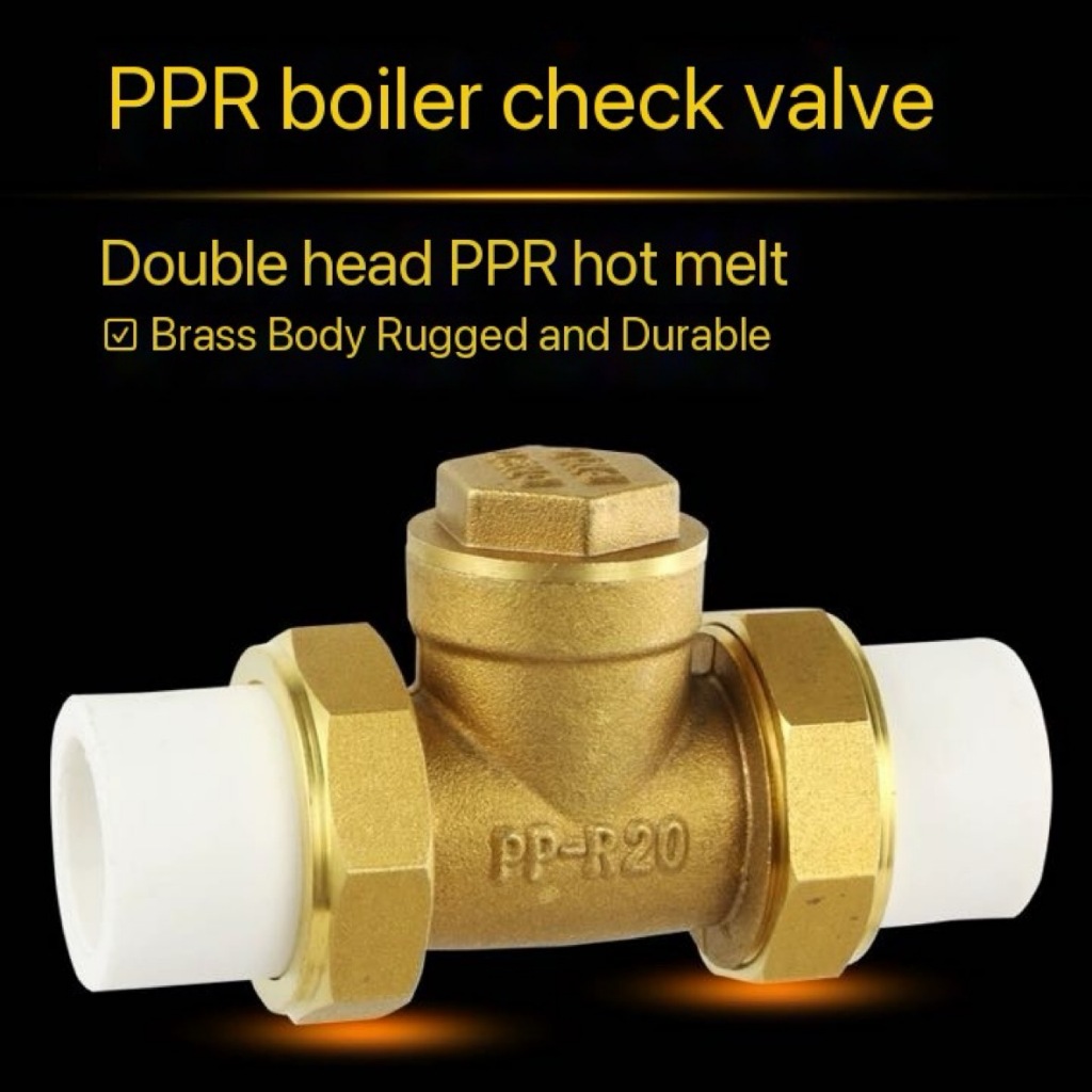 1/2'' 3/4'' 1''PPR Fittings Double Union Check Valve Water Pipe Hot ...