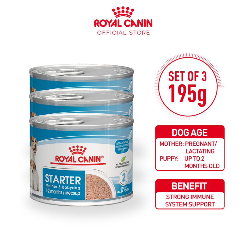 Royal Canin Starter Mousse Mother & Babydog (195g x 3 cans) Wet Food - Canine Health Nutrition ...