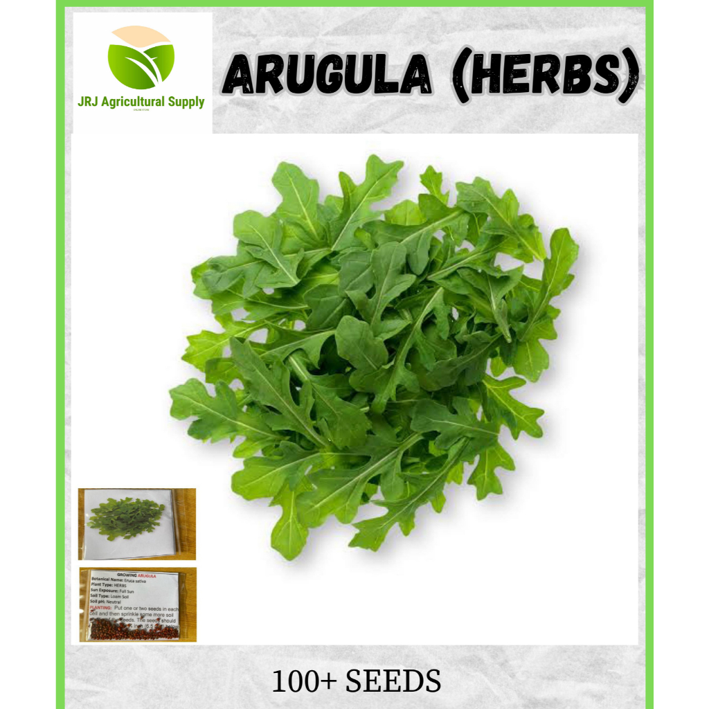 Arugula Seed 150pcs Seeds (1pack) | Shopee Philippines