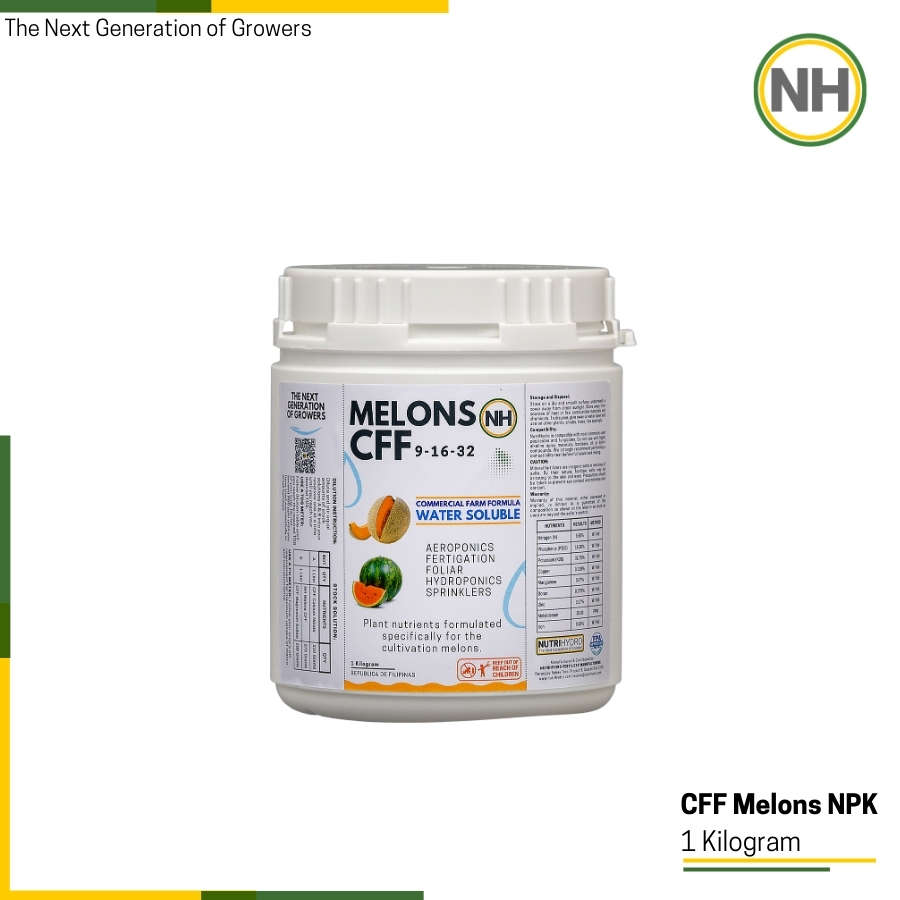 NutriHydro CFF Melons 1 Kilo | 2 Kilo | Shopee Philippines