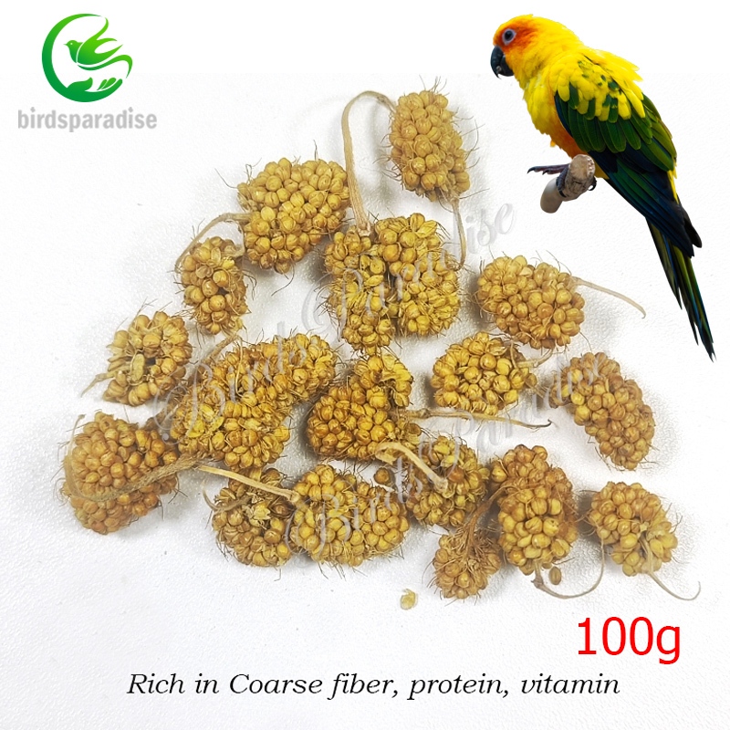 100g Millet Balls Birdseed Food with Shells for Lovebirds Parrot Food ...