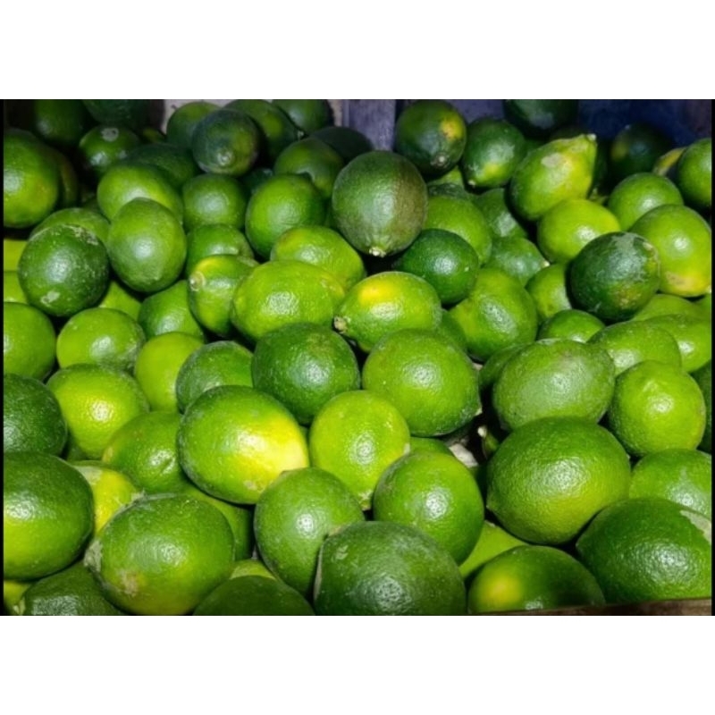 Dayap Local Native Fresh Lime Philippines Green Lemon Fresh Fruits ...