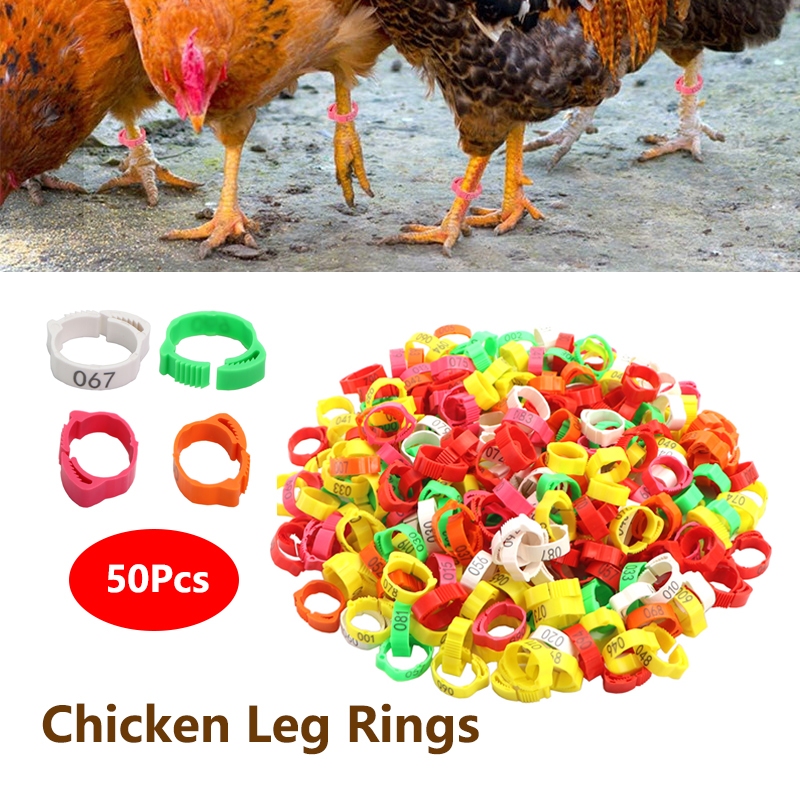 50Pcs Chicken Leg Rings Adjustable with Numbers Plactic Chicken Leg ...