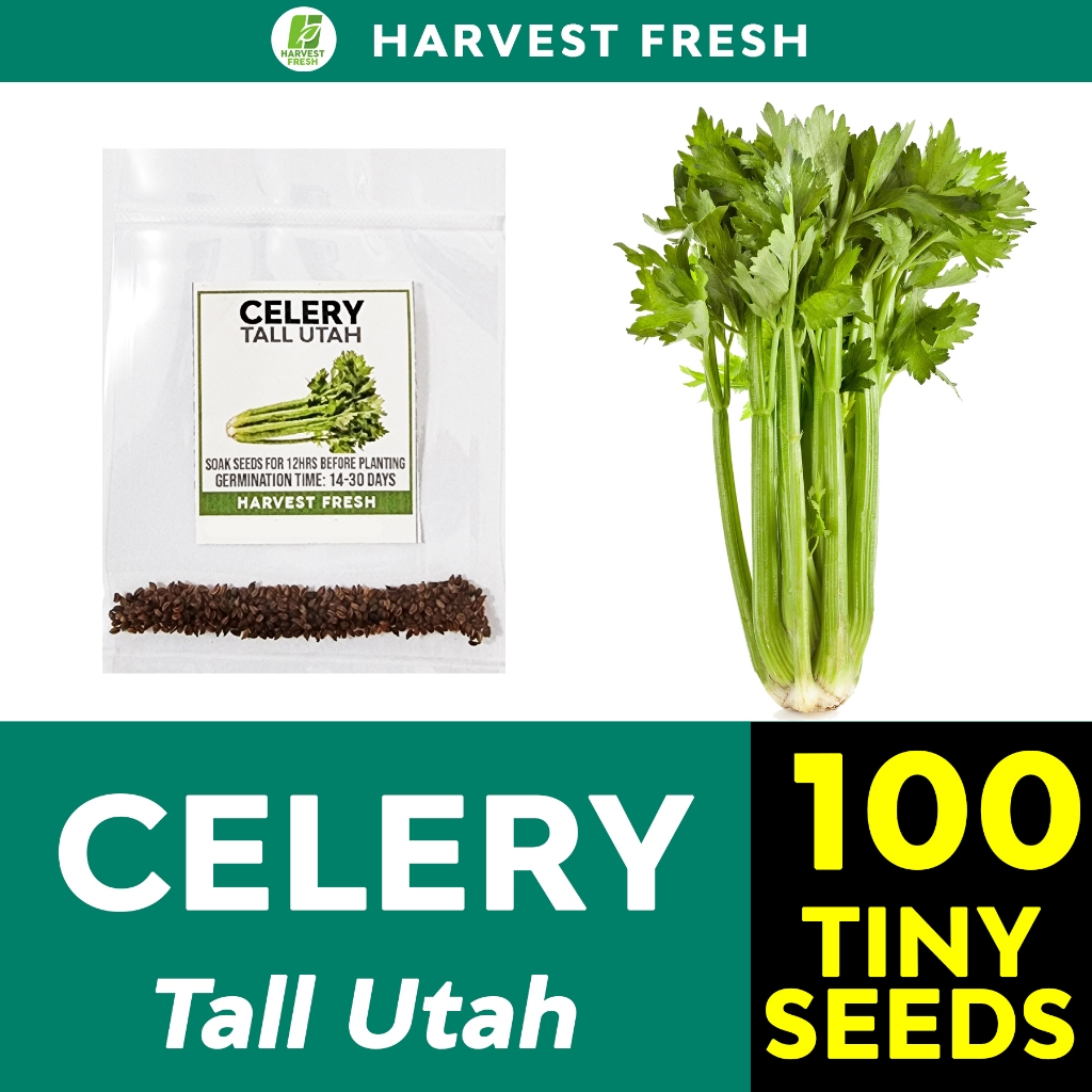 Herbs & Vegetable Seeds Basil Sage Rosemary Thyme Oregano Arugula ...