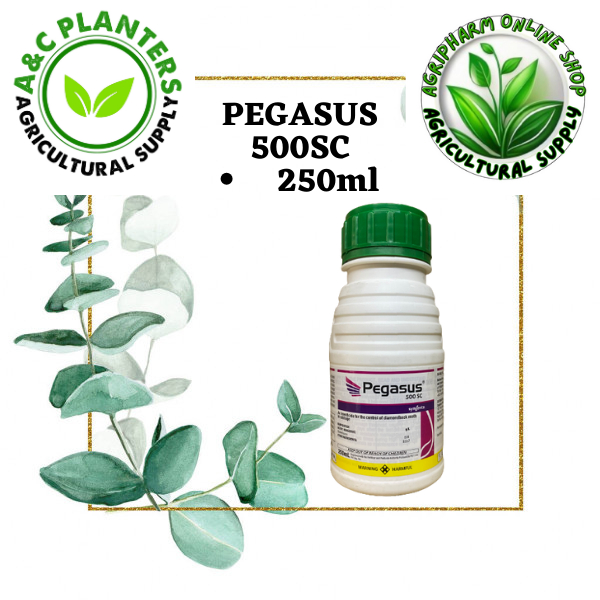 PEGASUS 500SC Insecticide (250ml) | Shopee Philippines